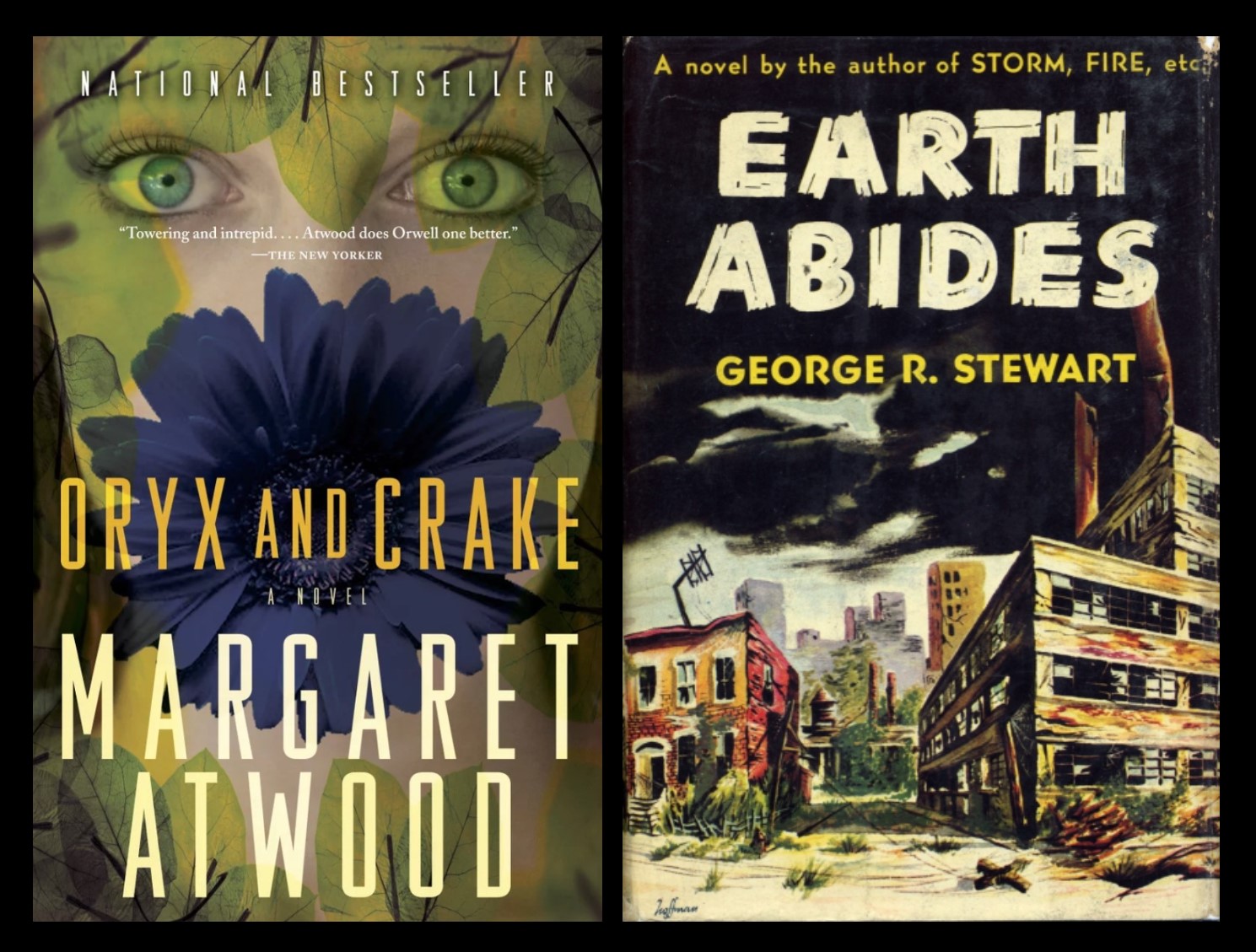 Oryx And Crake Margaret Atwood Read Literature Where Can Hope Be